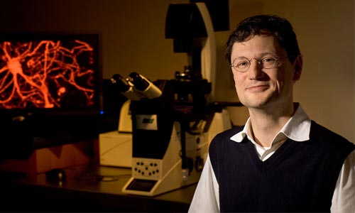 Researchers Identify Cause of Rare Deadly Neurological Disease - Global ...
