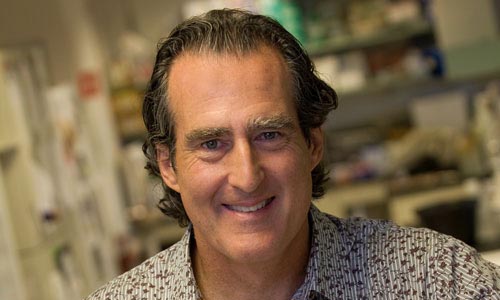 Aldena Raises $30 Million to Develop siRNA Therapies for Immuno ...