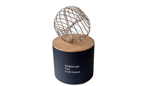 Gene Therapy Innovators Share 2026 Breakthrough Prize - Global Genes